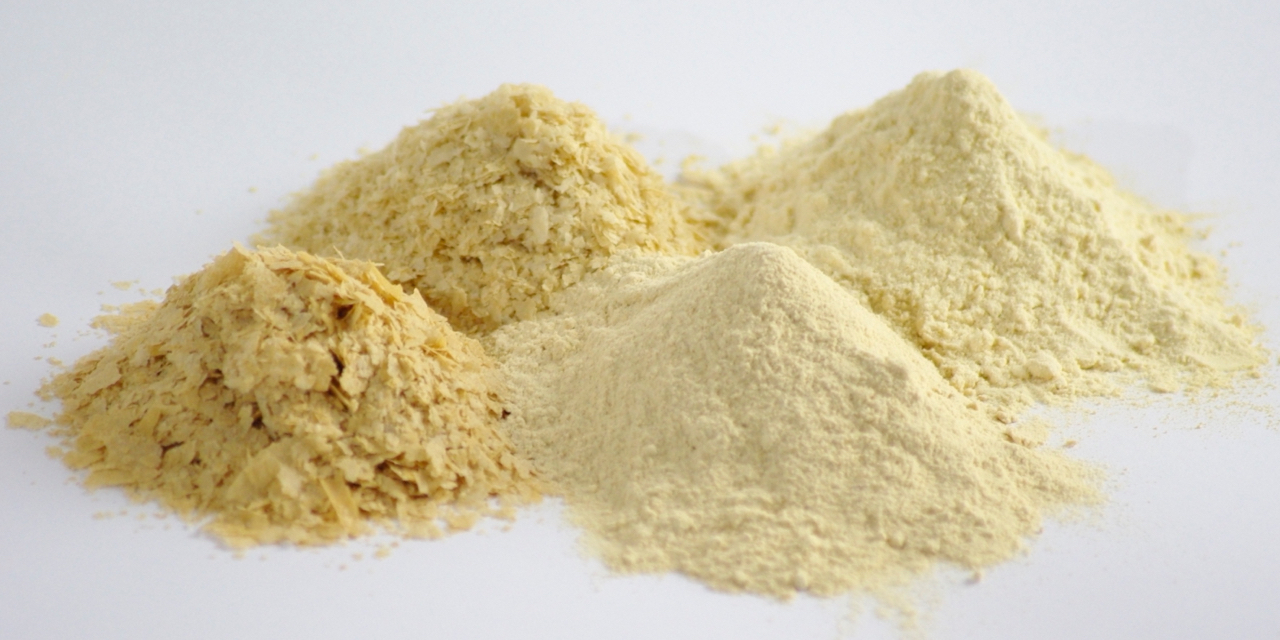 L’extrait de levure - RP2MRP2M